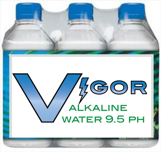 Vigor-12-pack 20 fl oz – Vigor Alkaline